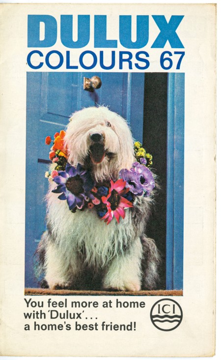 Celebrating 60 Years of the Dulux Dog | Old English Sheepdogs | Dulux